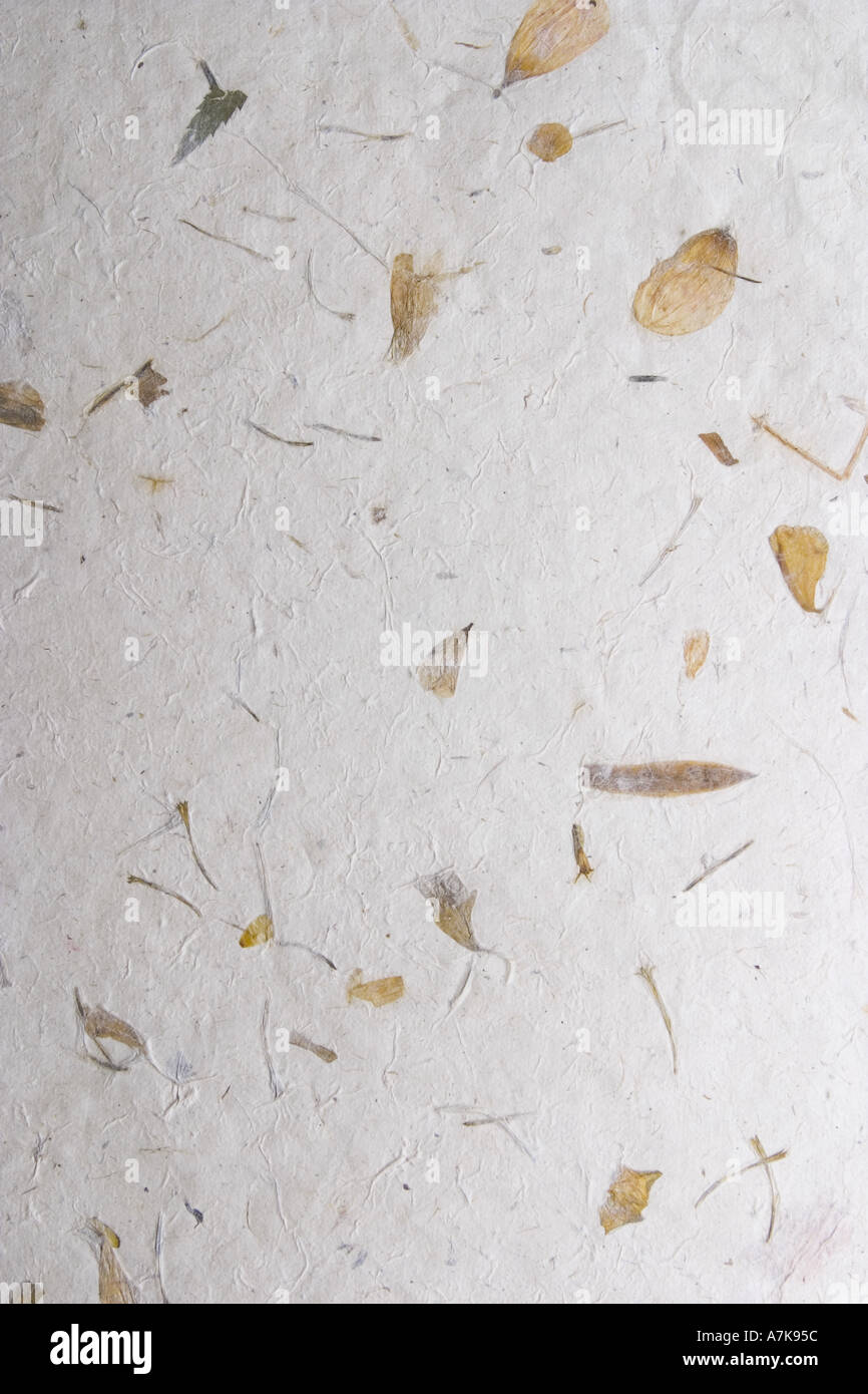 Inner folds hi-res stock photography and images - Alamy