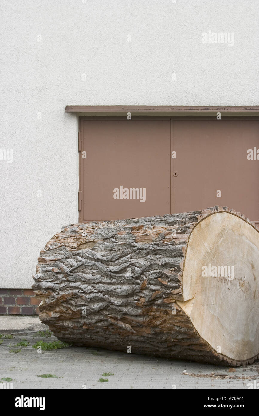 Cylindrical trunk hi-res stock photography and images - Alamy