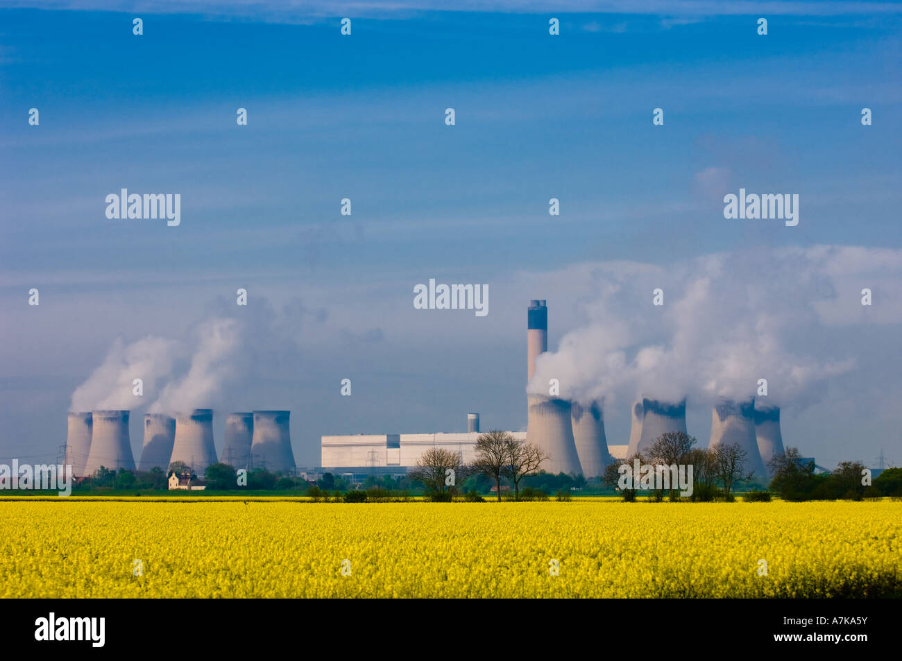 Drax biomass power station with yellow flowering rapeseed, which is ...