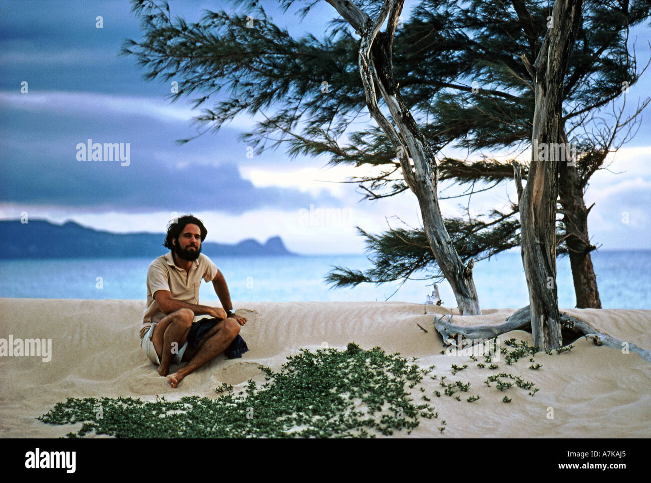 Shipwrecked hi-res stock photography and images - Alamy