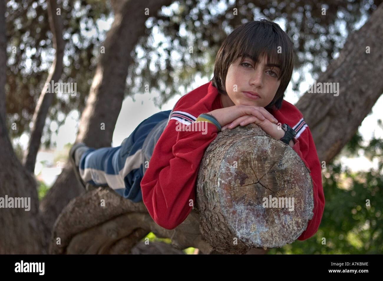 A young boy on a tree Stock Photo - Alamy