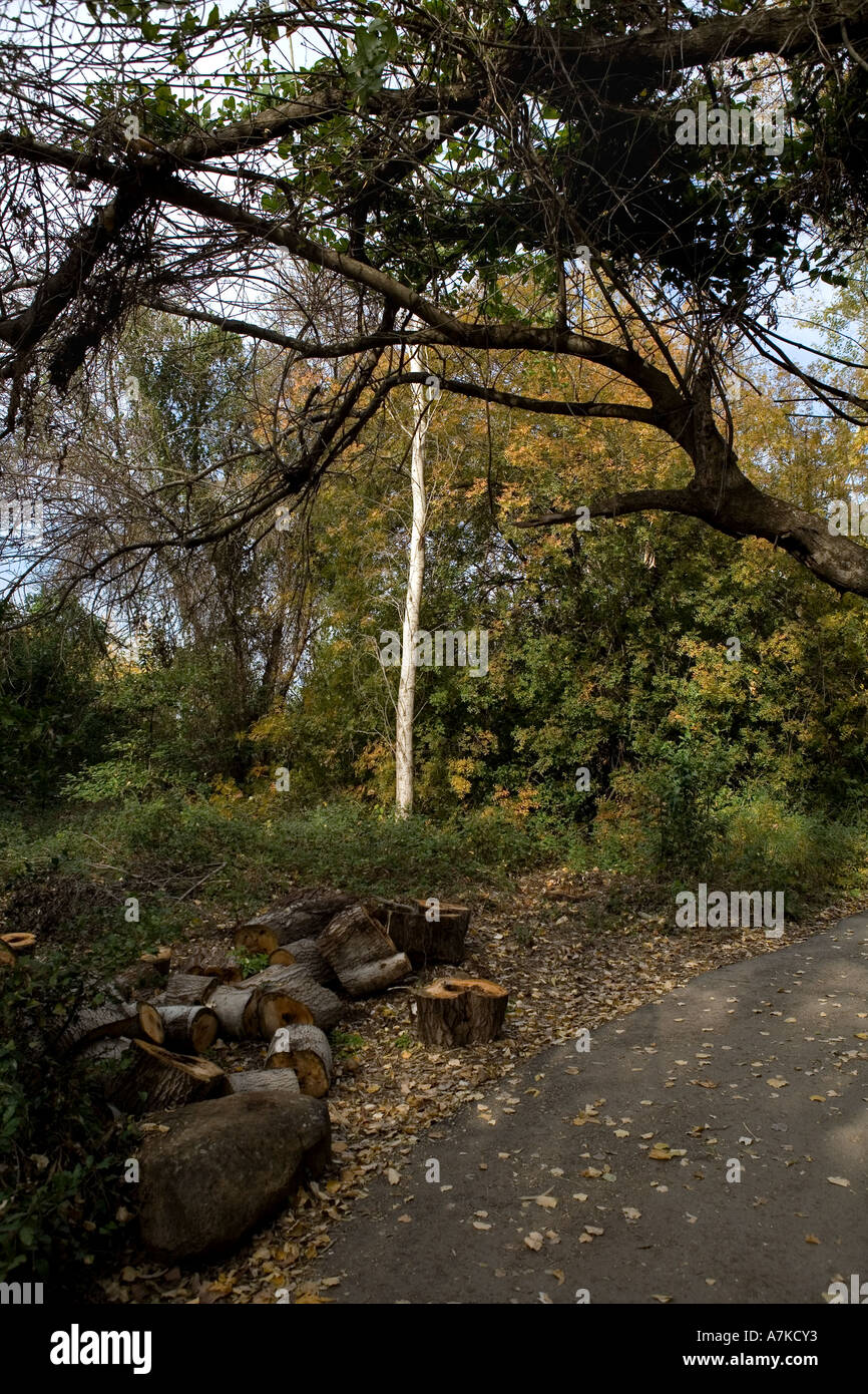 Dan white hi-res stock photography and images - Alamy