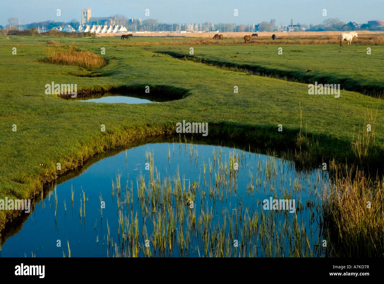 Stanpit Marsh High Resolution Stock Photography and Images - Alamy