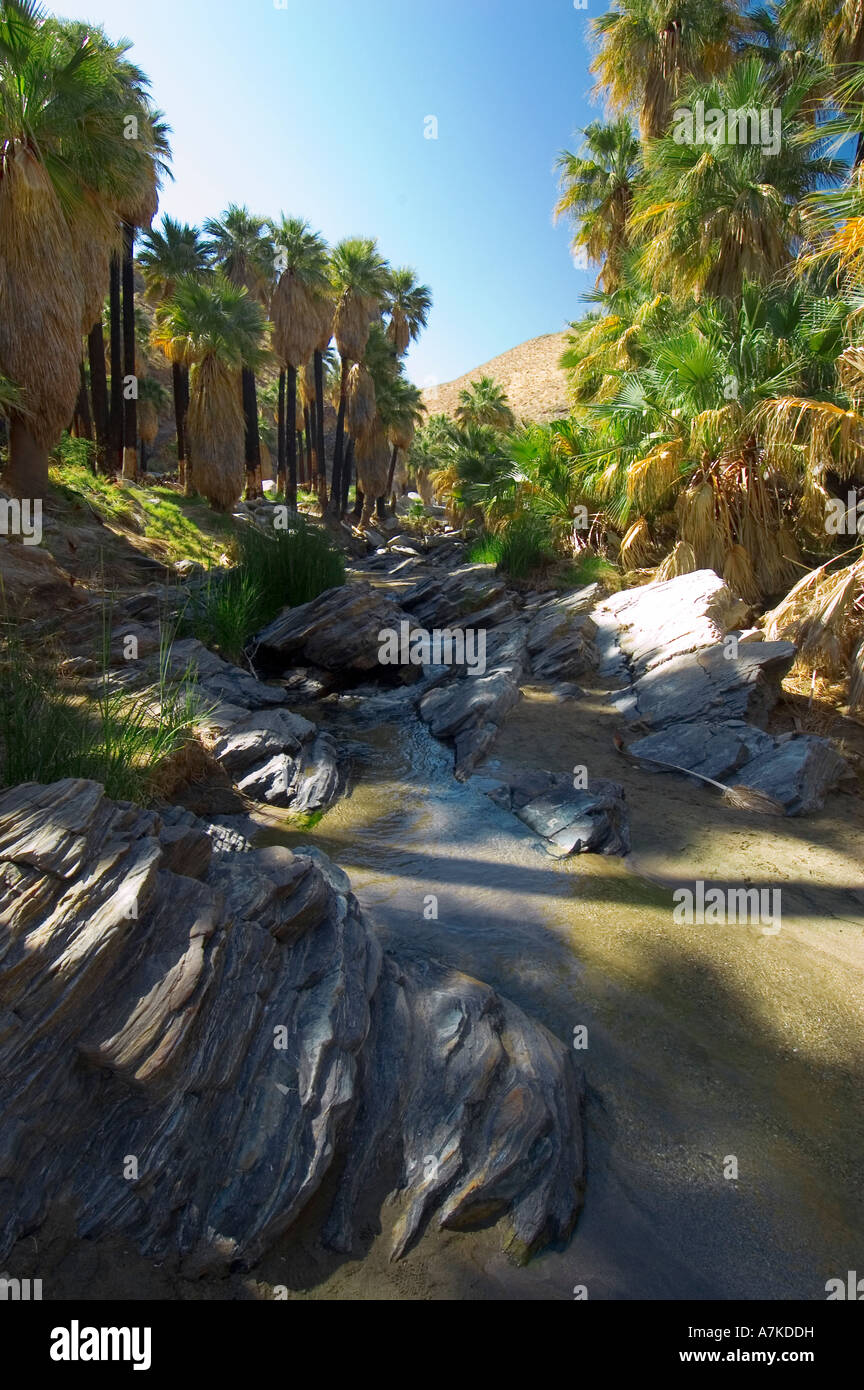 Tahquitz canyon palm hi-res stock photography and images - Alamy
