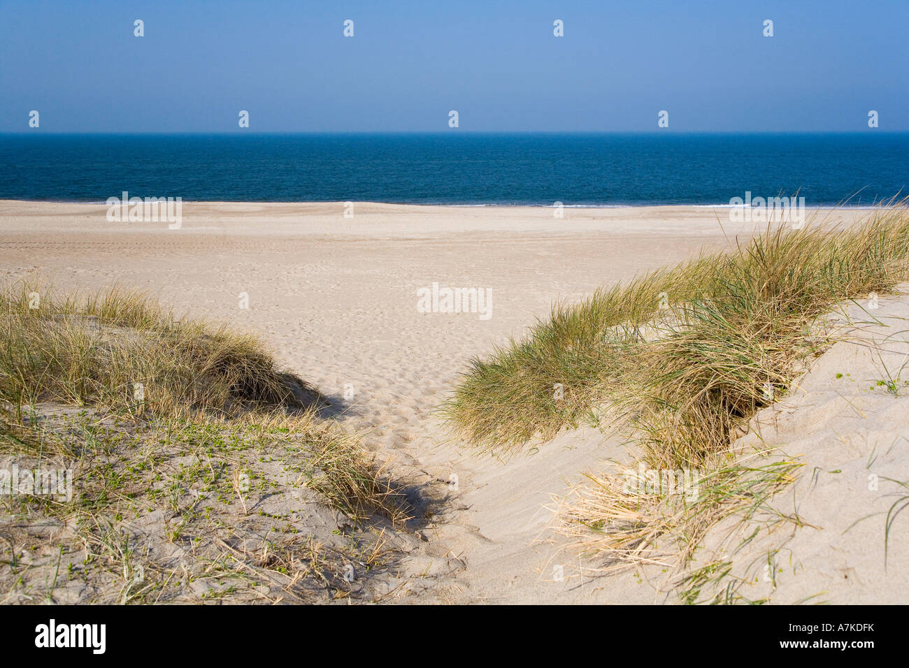 North Sea sand dunes and the beach Stock Photo - Alamy