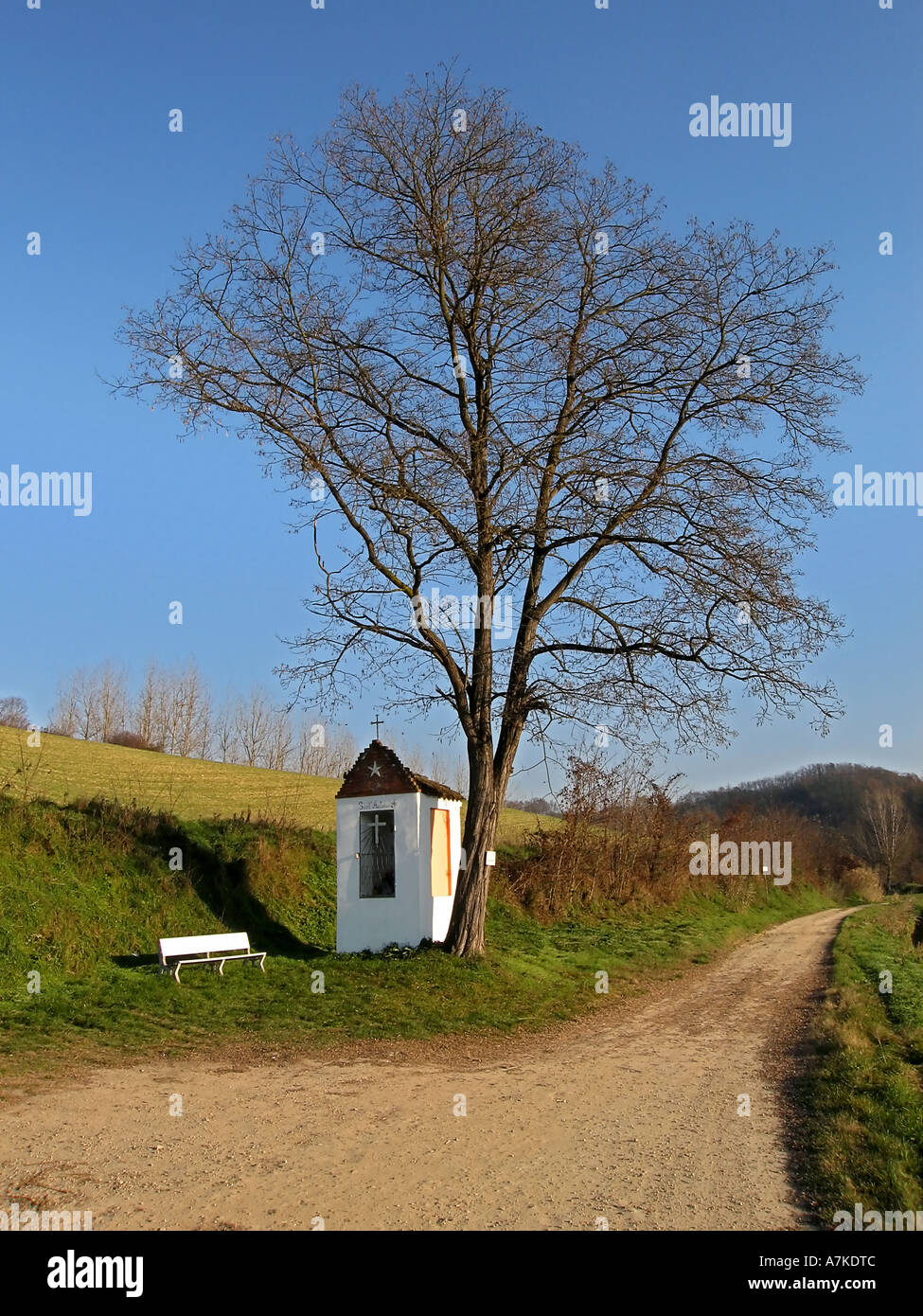 Rural shrine under the tree by the path in winter Stock Photo - Alamy