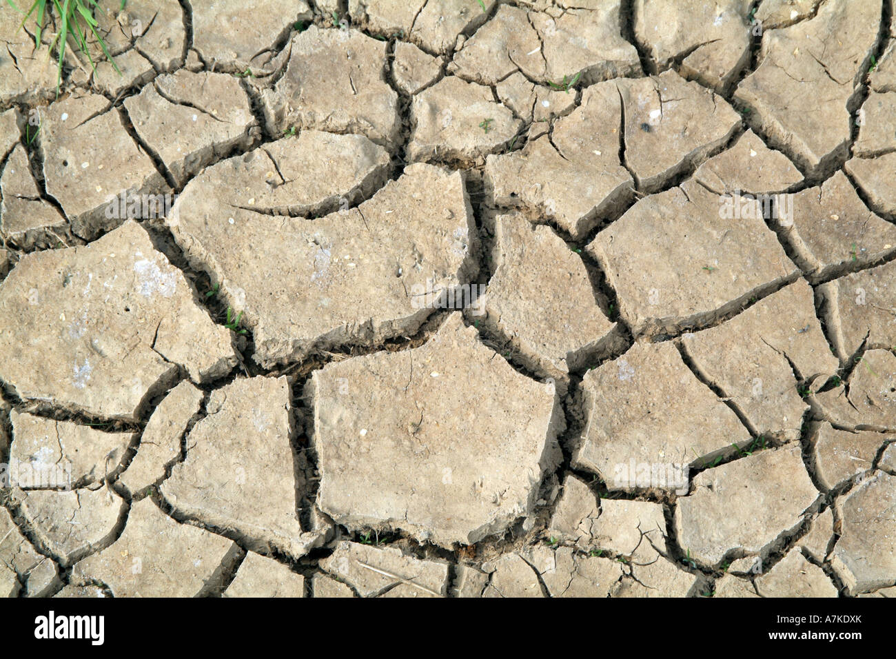 Earth Dry ground Water shortage Dried earth Stock Photo - Alamy
