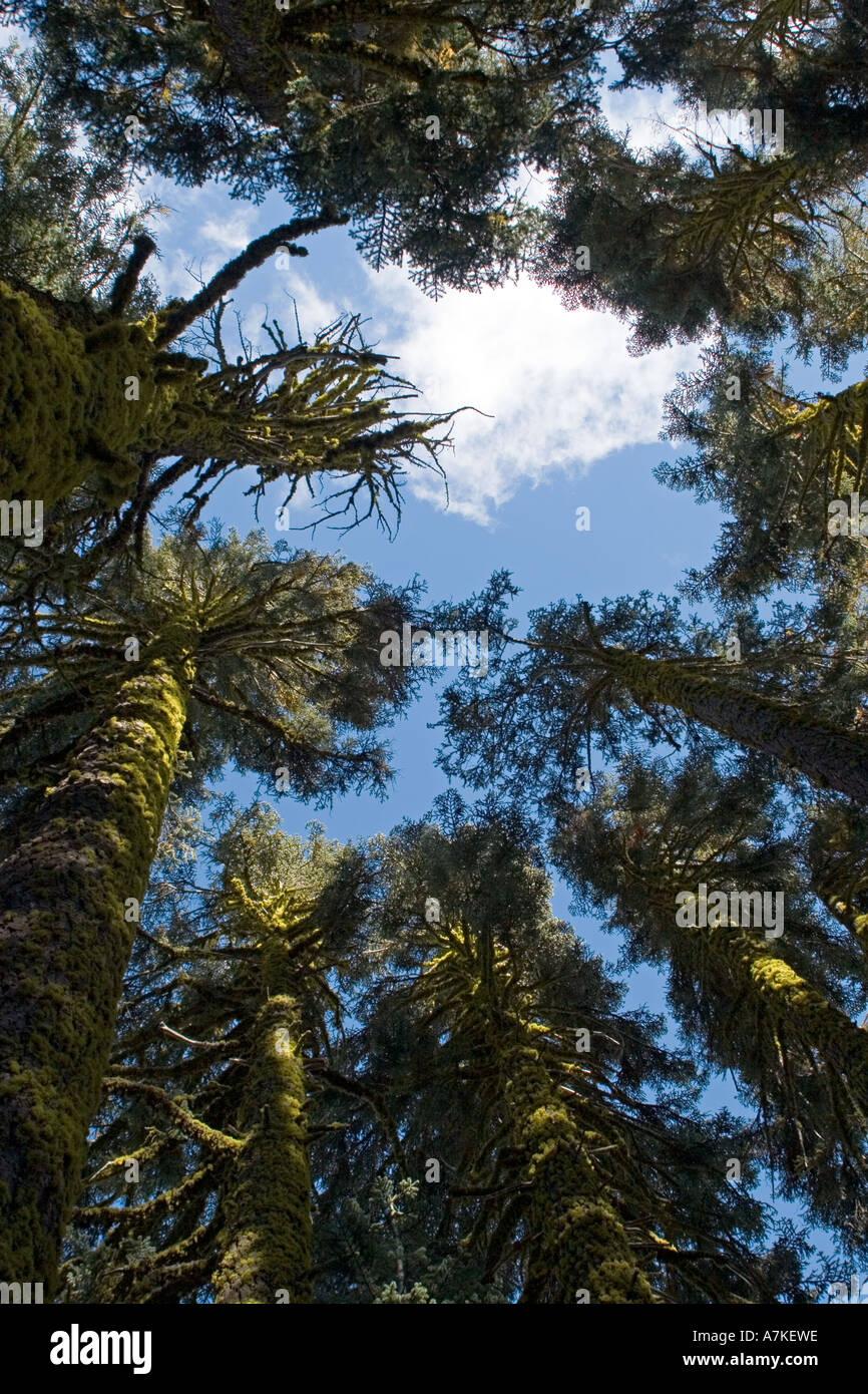 Douglas ranges hi-res stock photography and images - Alamy