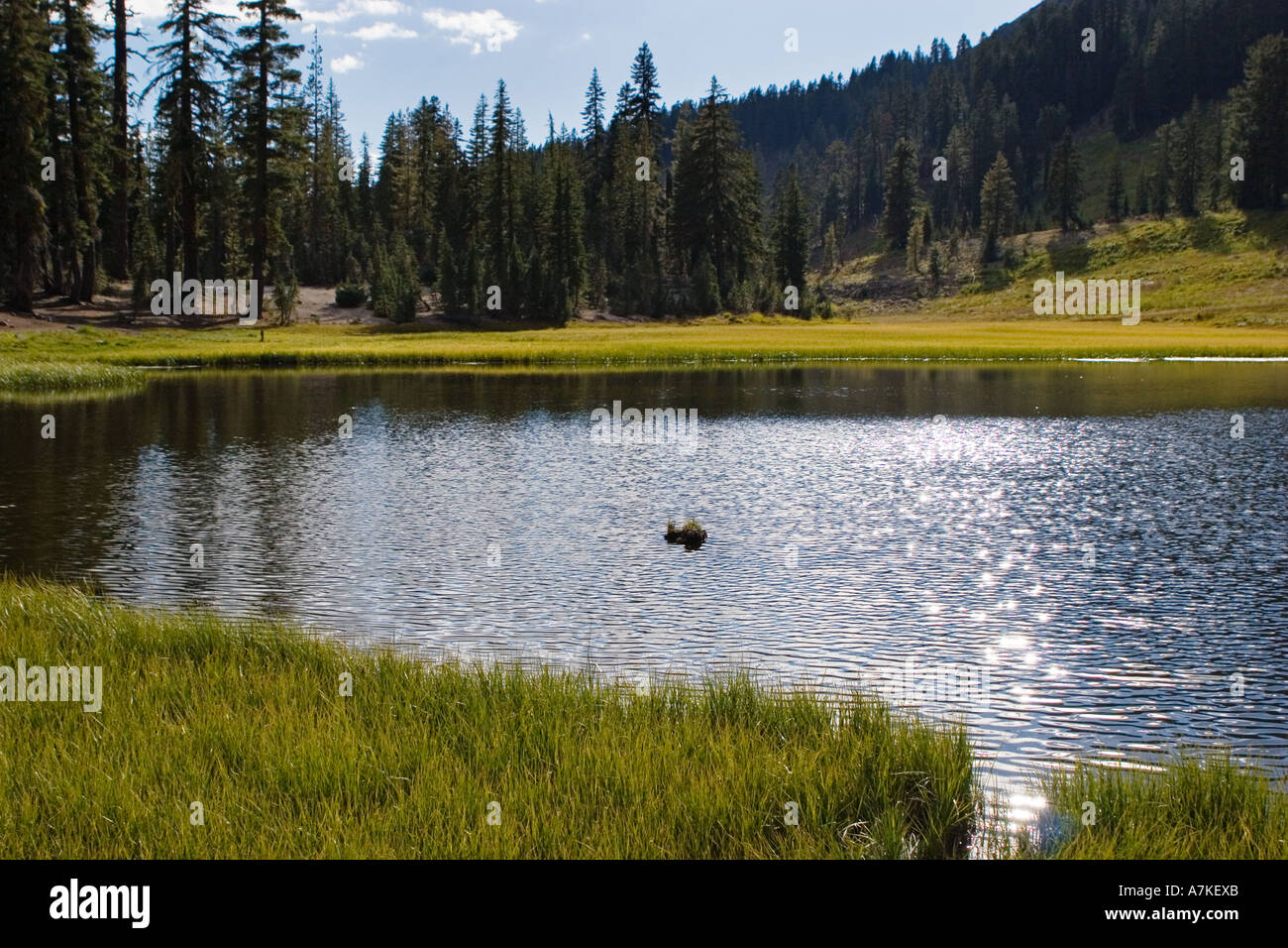COLD BOILING LAKE in LASSEN NATIONAL PARK CALIFORNIA Stock Photo - Alamy