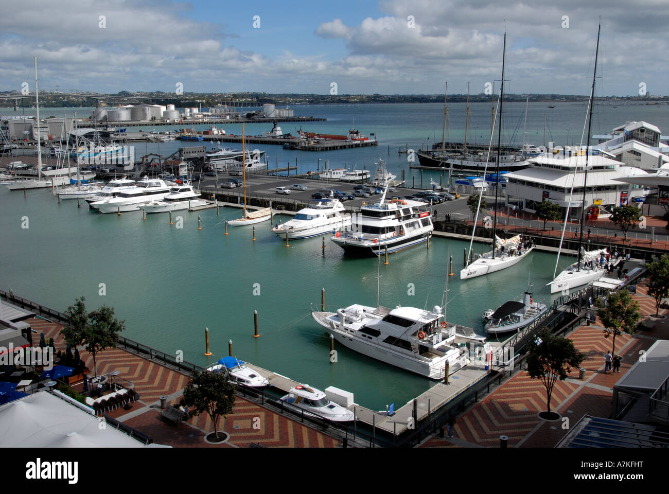 Marina Viaduct Basin Auckland Harbour North Island New Zealand Stock ...