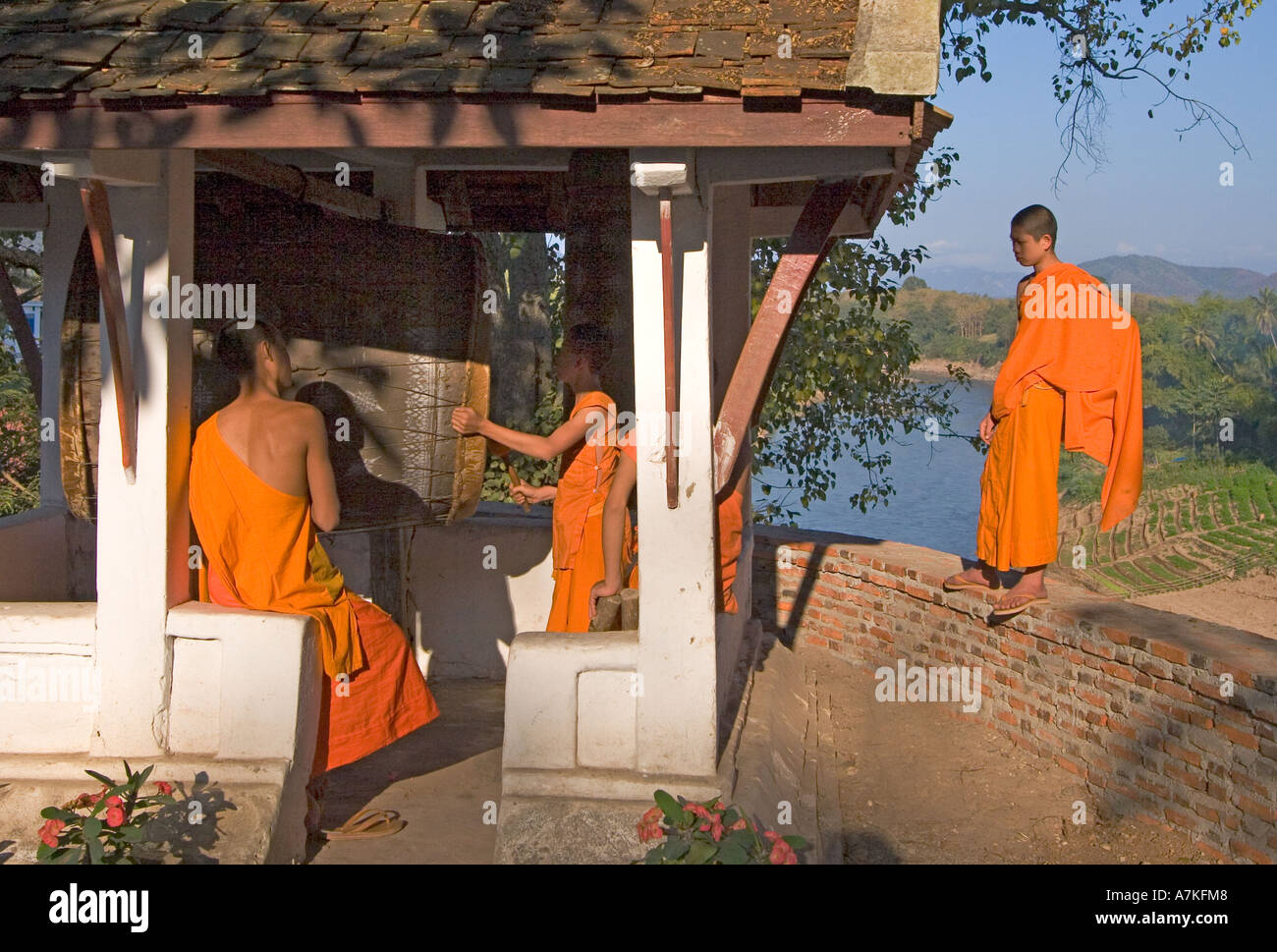 Buddhist monk luang probang hi-res stock photography and images - Alamy