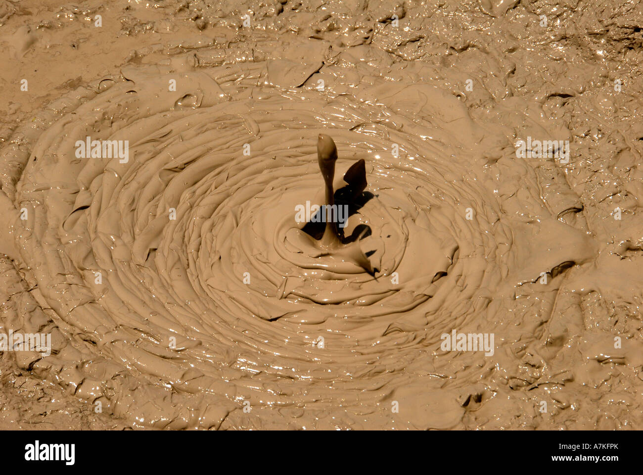 Thermal mud pool Rotorua North Island New Zealand Stock Photo - Alamy