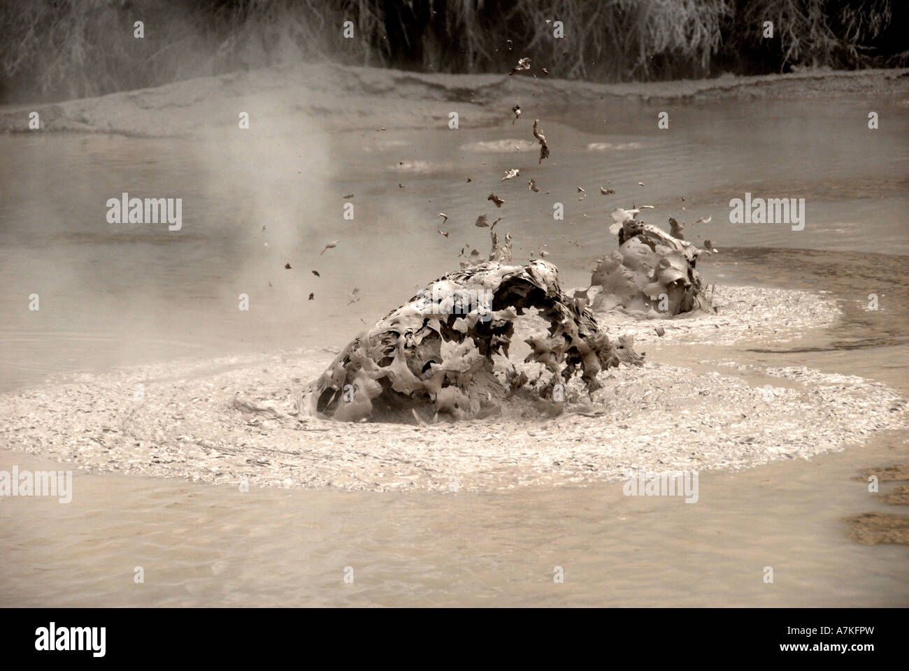 Thermal mud pool Rotorua North Island New Zealand Stock Photo - Alamy