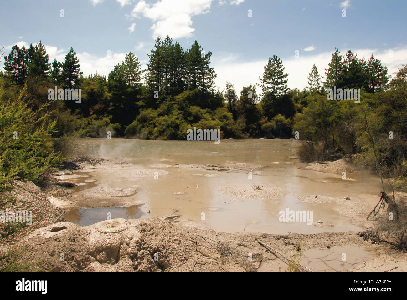 Thermal mud pool Rotorua North Island New Zealand Stock Photo - Alamy
