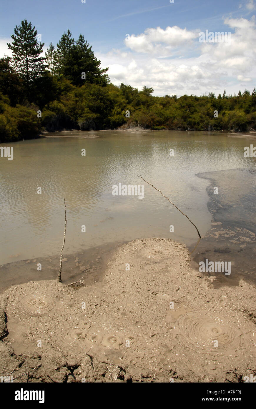 Thermal mud pool Rotorua North Island New Zealand Stock Photo - Alamy