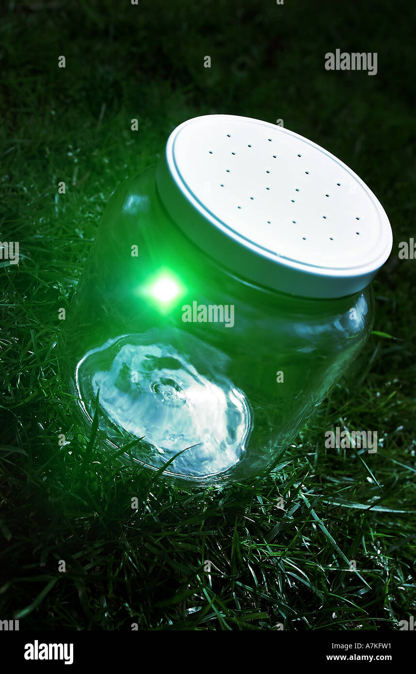 Fire fly in jar hi-res stock photography and images - Alamy