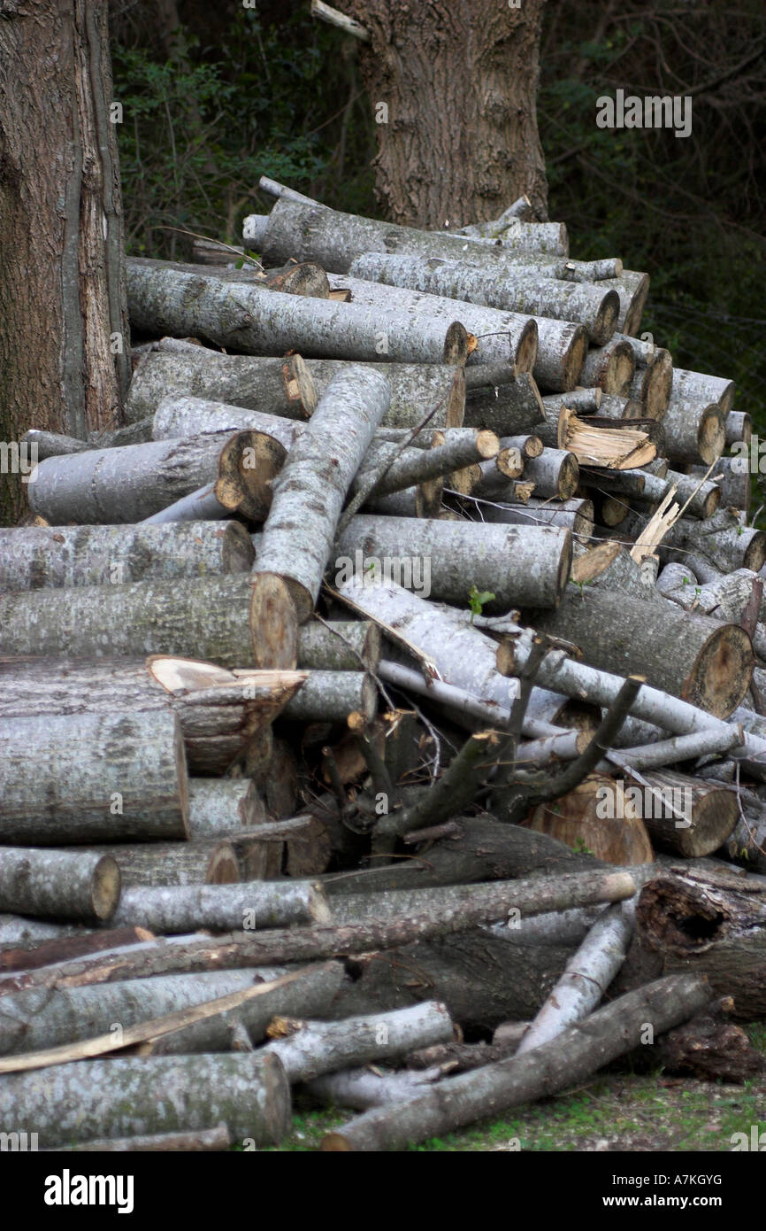 Pile of logs Stock Photo - Alamy