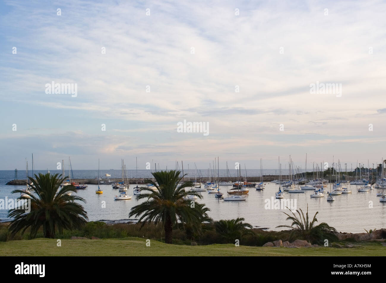 Montevideo Puerto del buceo Diving Harbor Stock Photo - Alamy