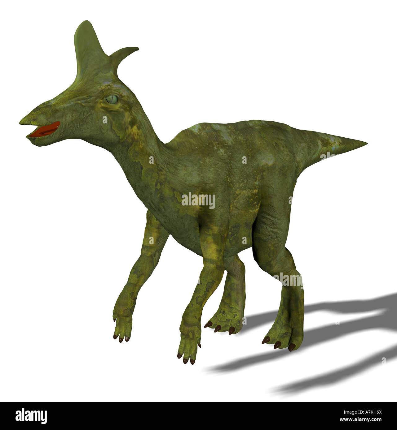 Lambeosaurus hi-res stock photography and images - Alamy