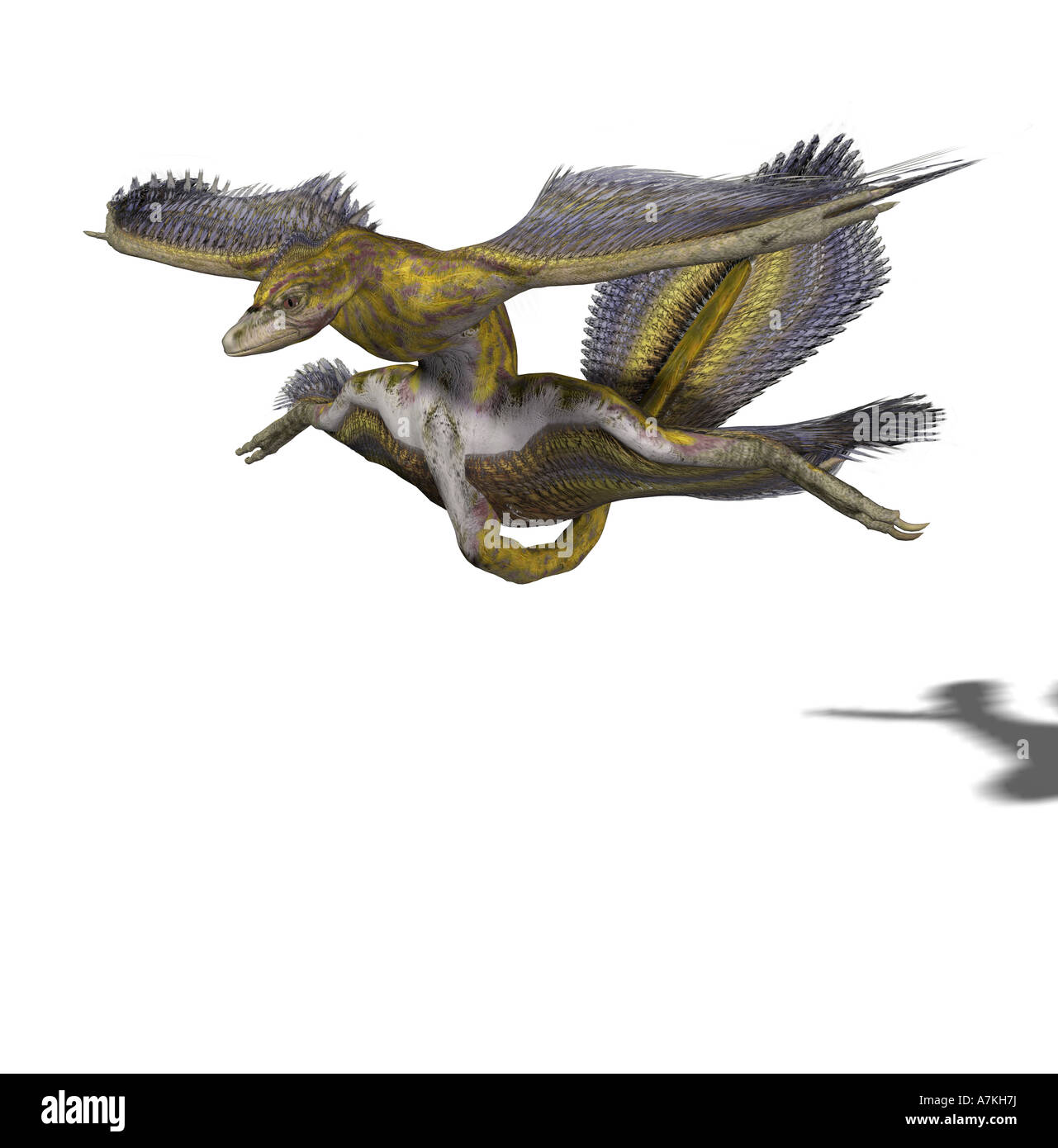 Microraptor dinosaur Stock Photo - Alamy