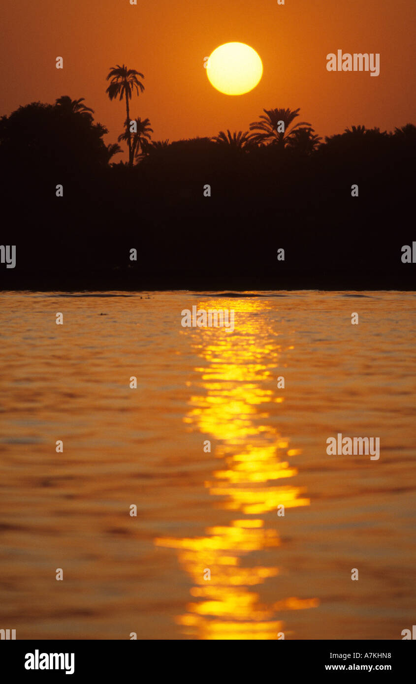 Nile trees hi-res stock photography and images - Alamy