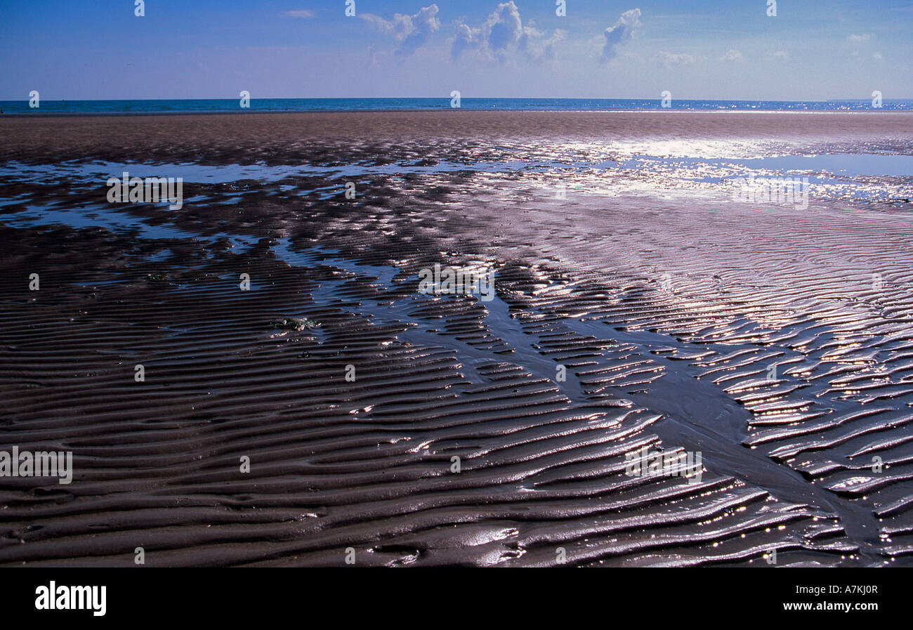 Low tide on a beach in Normandy Stock Photo - Alamy