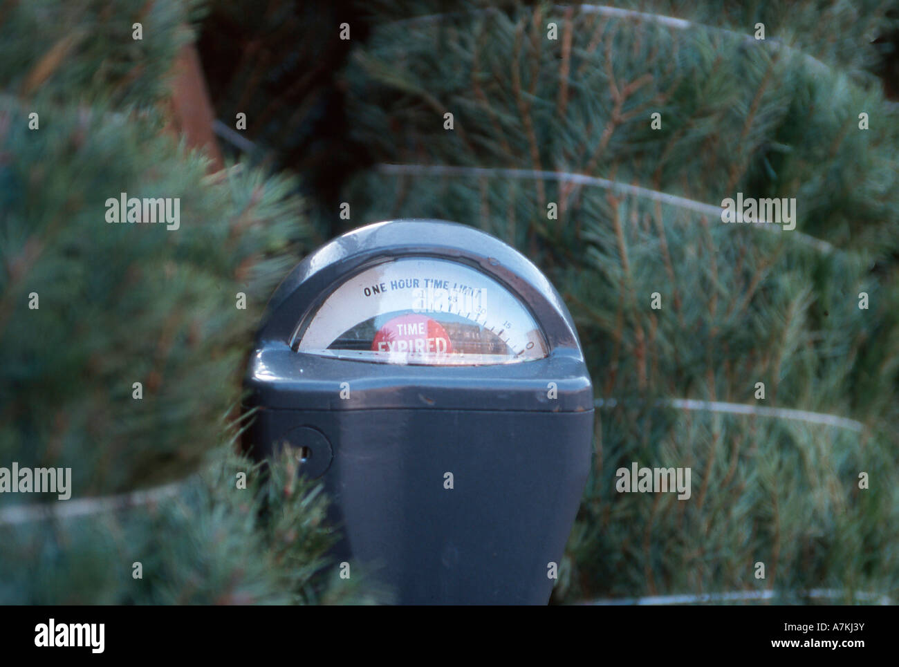 Parking meter with Christmas trees in back Stock Photo - Alamy