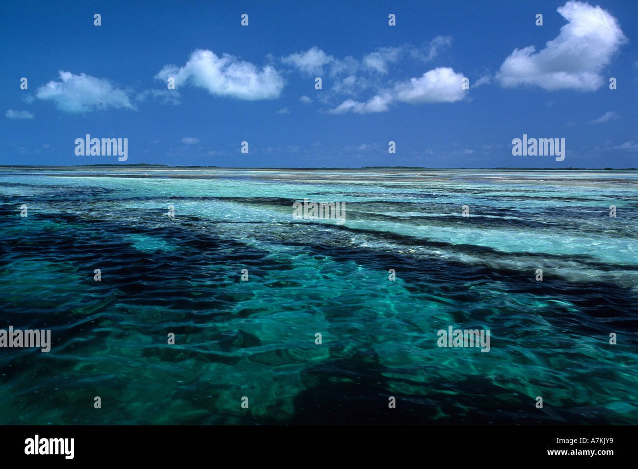 Lagoon at Aldabra Atoll Seychelles Aldabra Atoll Indian Ocean Stock ...