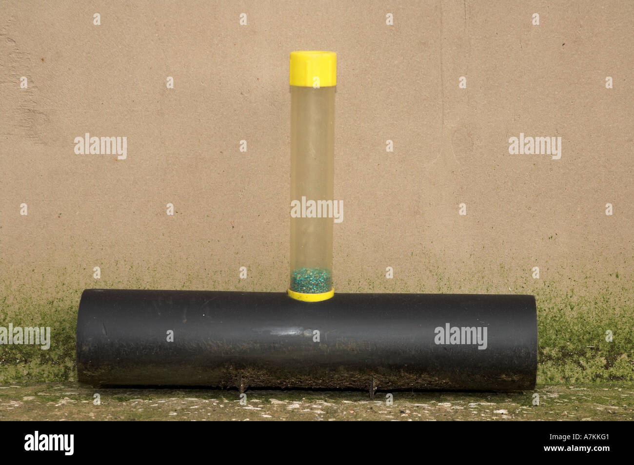 Rat Bait trap on poultry farm Stock Photo - Alamy