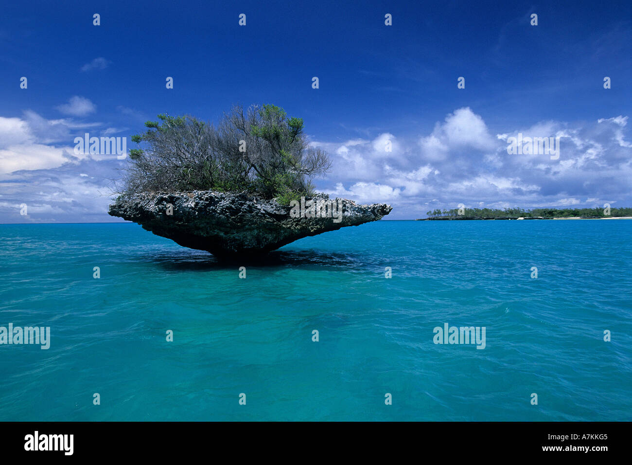 Mushroom shaped island Aldabra Atoll Seychelles Aldabra Atoll Indian ...
