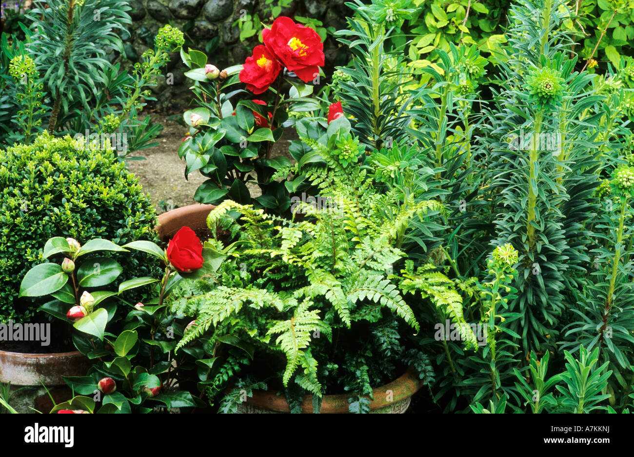 Barbara box hi-res stock photography and images - Alamy