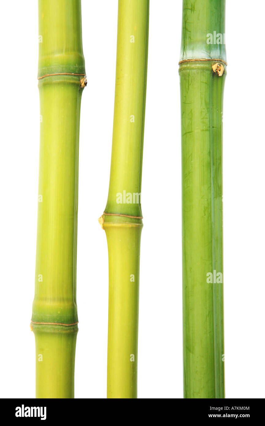 Abstract vertical parallel rows line hi-res stock photography and ...