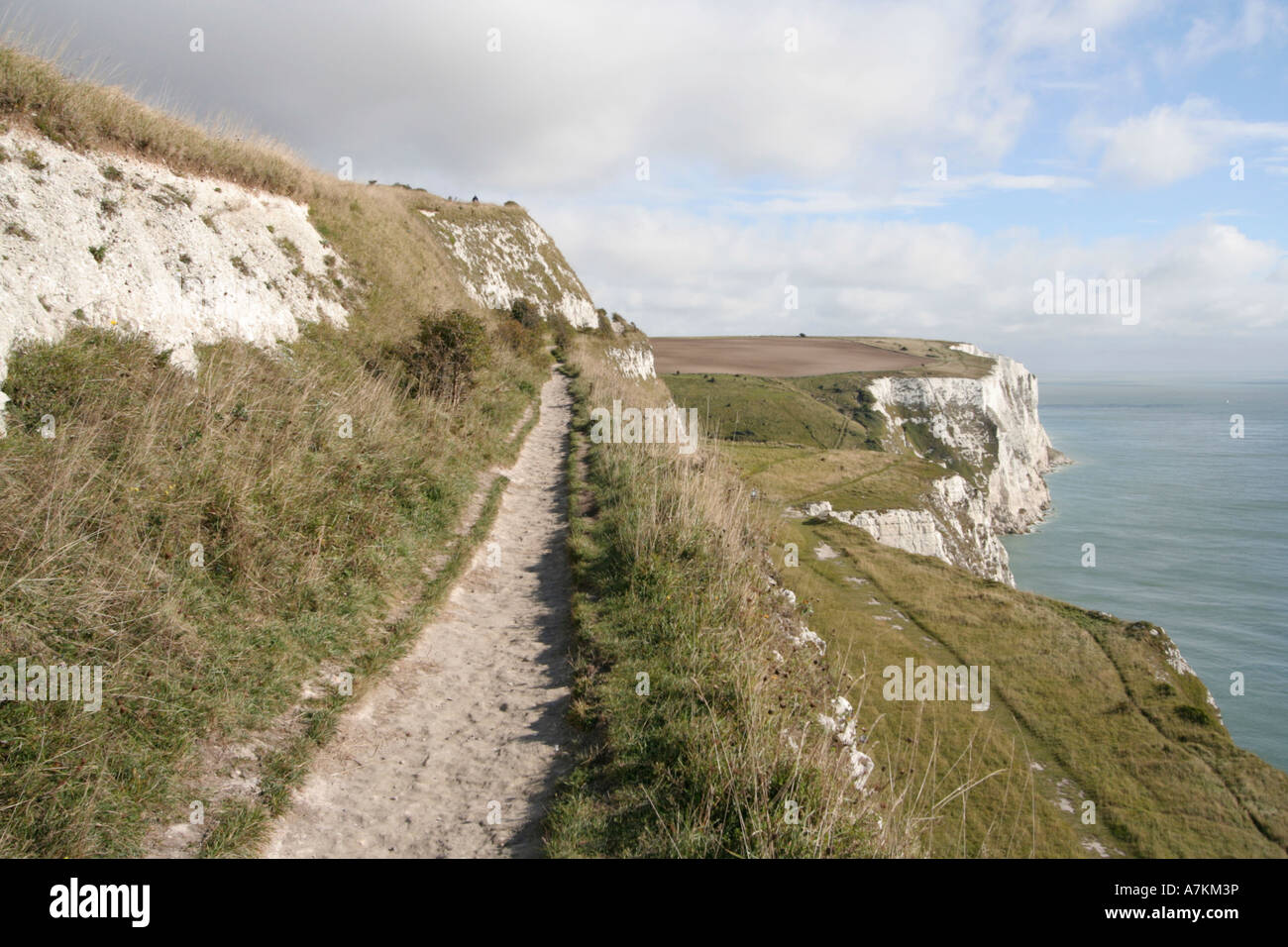coastal footpath atop the white cliff's of dover kent england uk gb ...