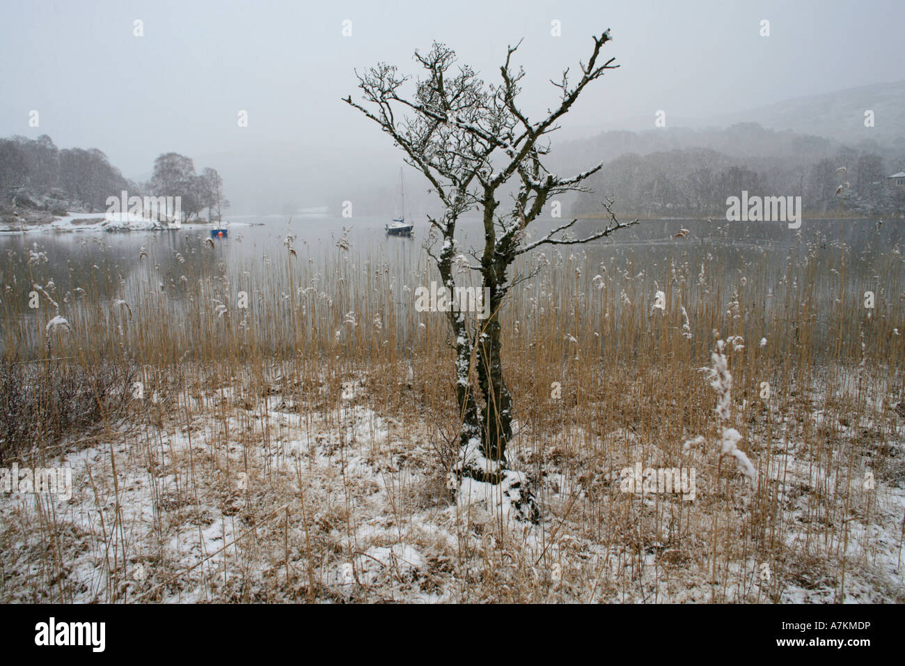 winter snow lake coniston the lake district cumbria national park ...
