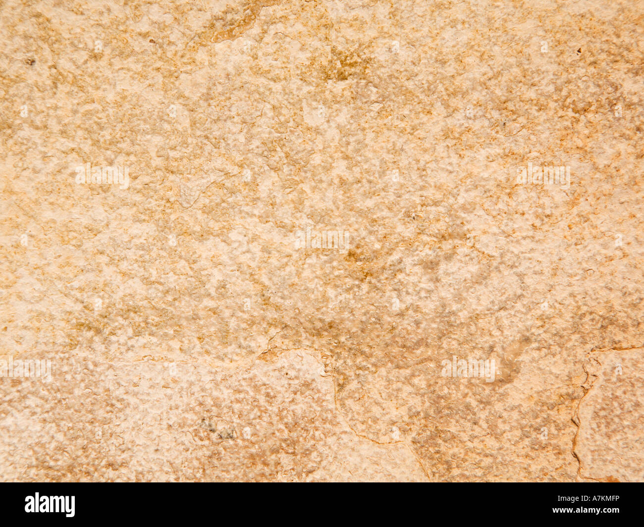 Sandstone texture hi-res stock photography and images - Alamy
