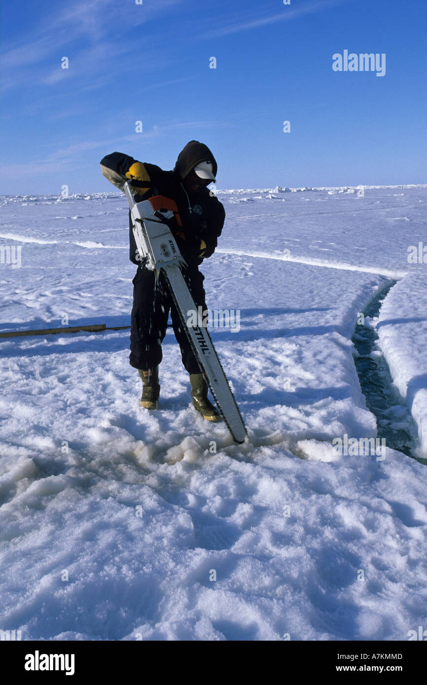 inuit guide cutting ice with chain saw in Lancaster Sound Canada Arctic ...