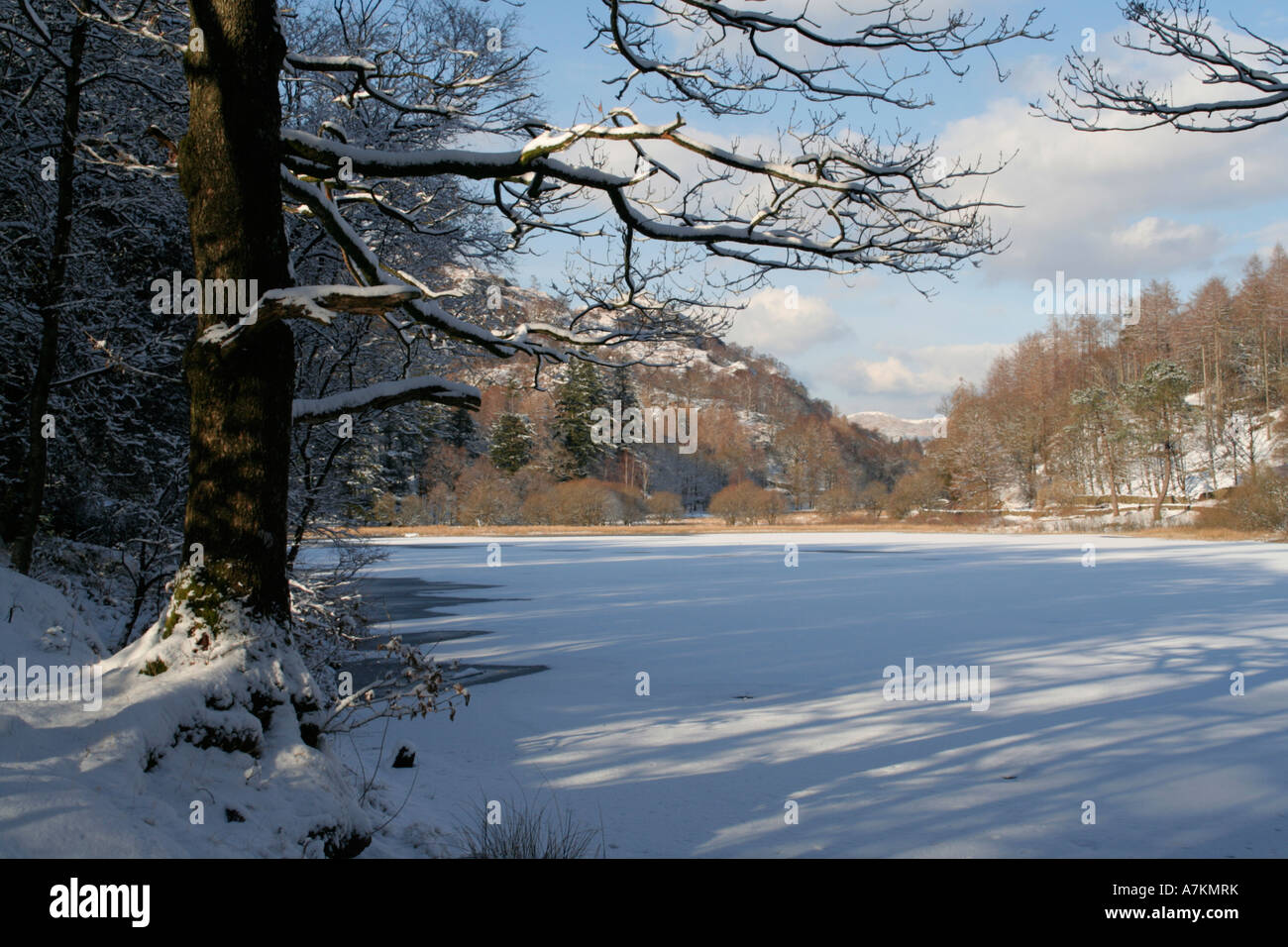 Yew Tree Tarn Lake District High Resolution Stock Photography and ...
