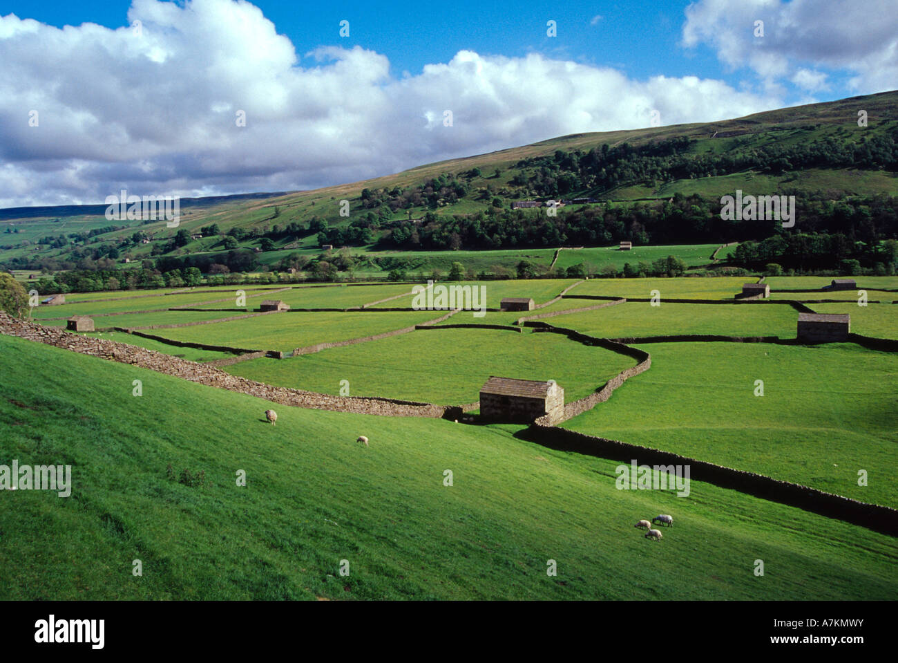swaledale near gunnerside yorkshire dales england uk gb national park ...