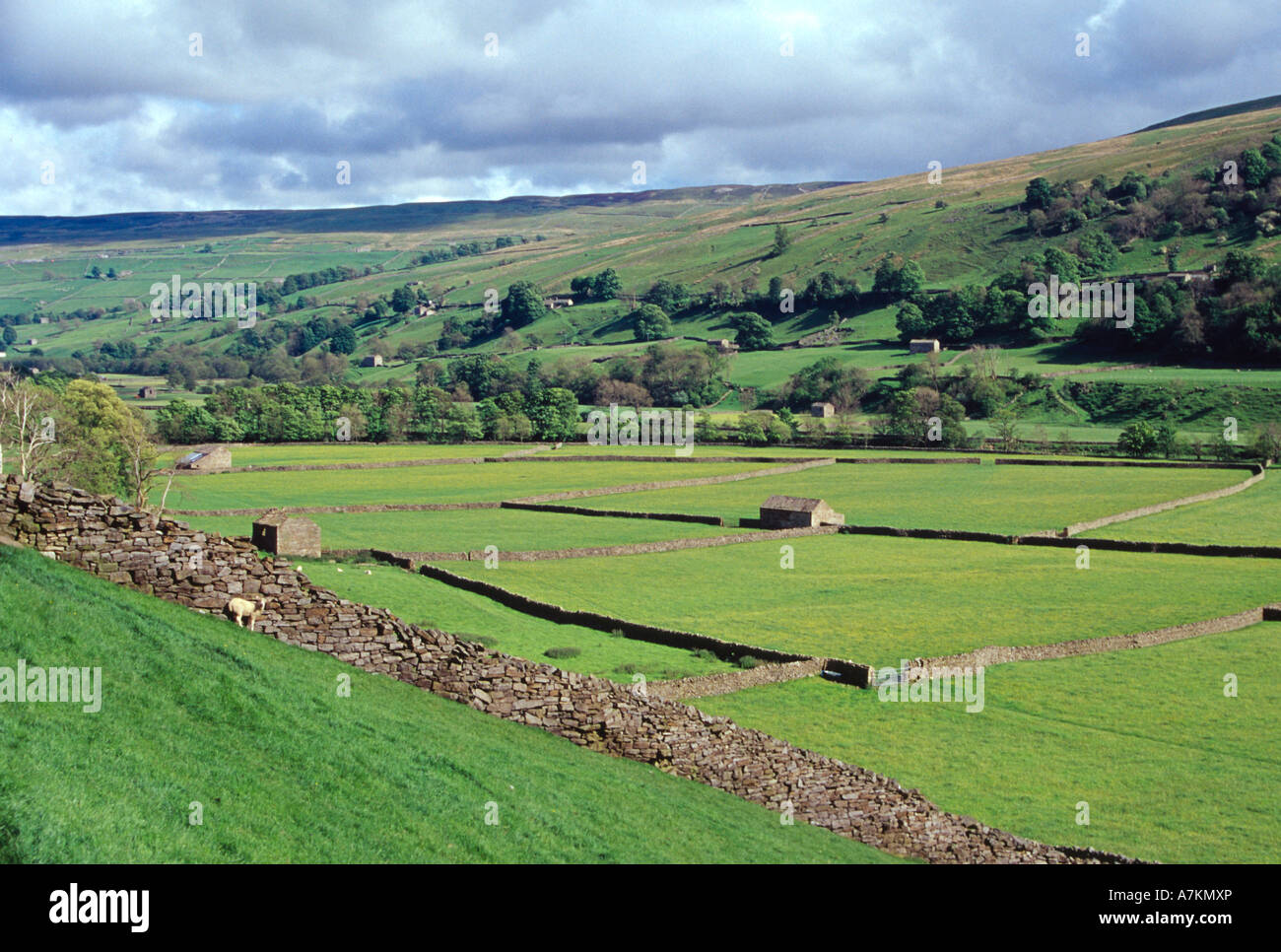 swaledale near gunnerside yorkshire dales england uk gb national park ...