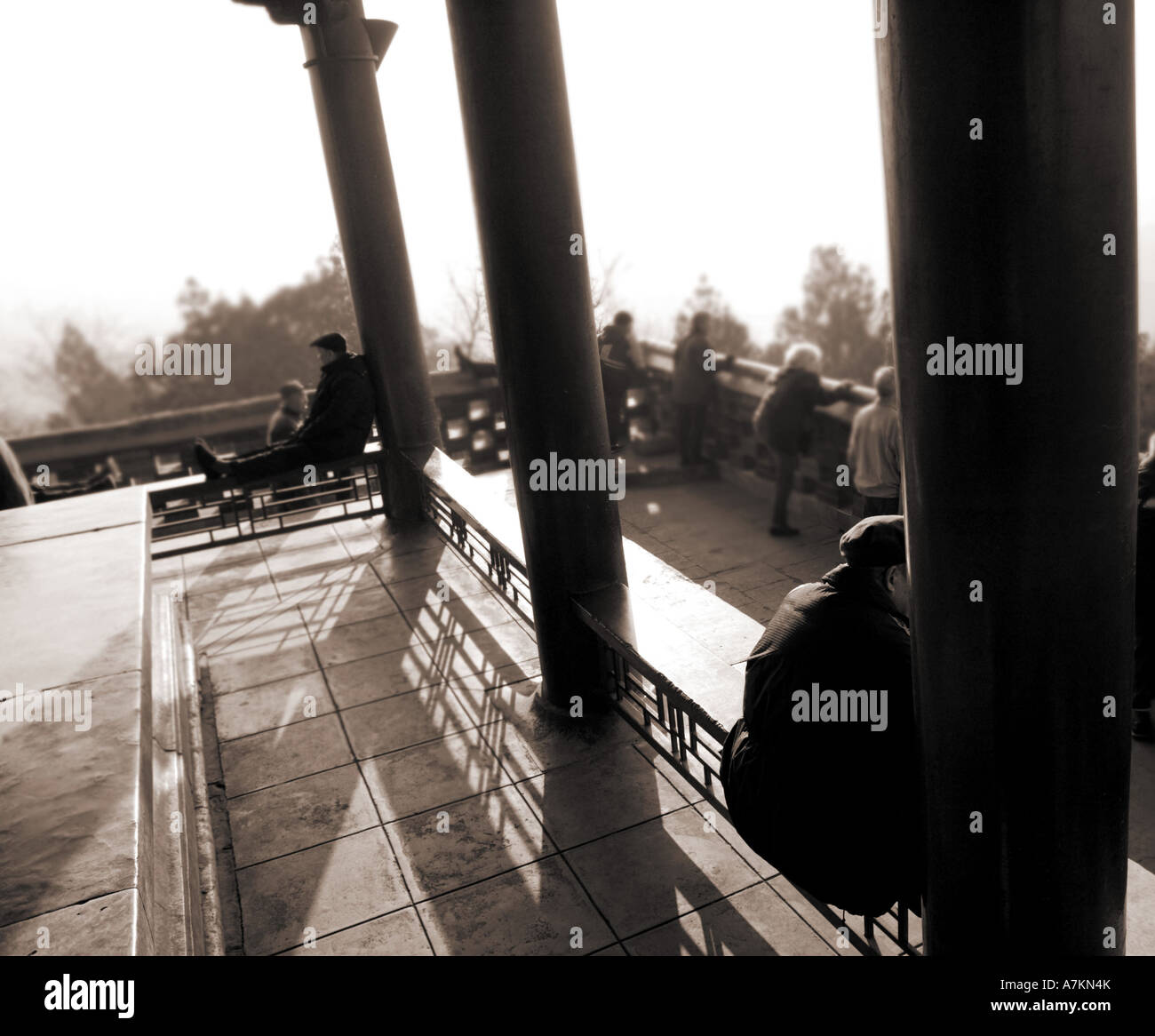 China tree of life hi-res stock photography and images - Alamy