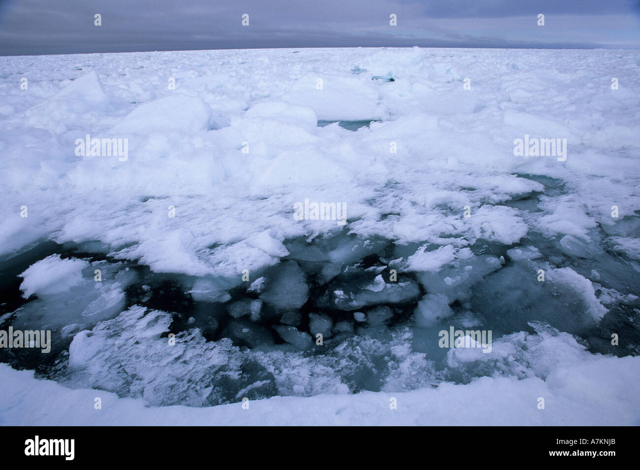 Arctic ice floe edge canada hi-res stock photography and images - Alamy