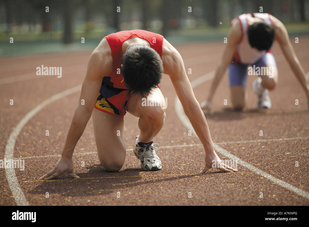 Have a race hi-res stock photography and images - Alamy