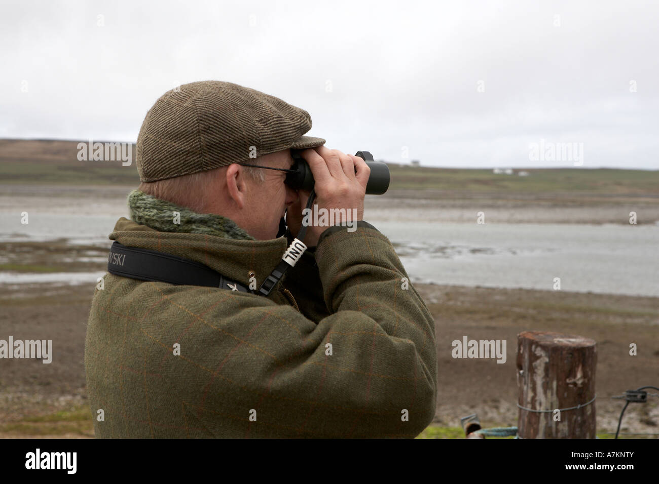 Birdwatching on the Isle of Isla, Scottish Hebrides, Scotland, Great ...