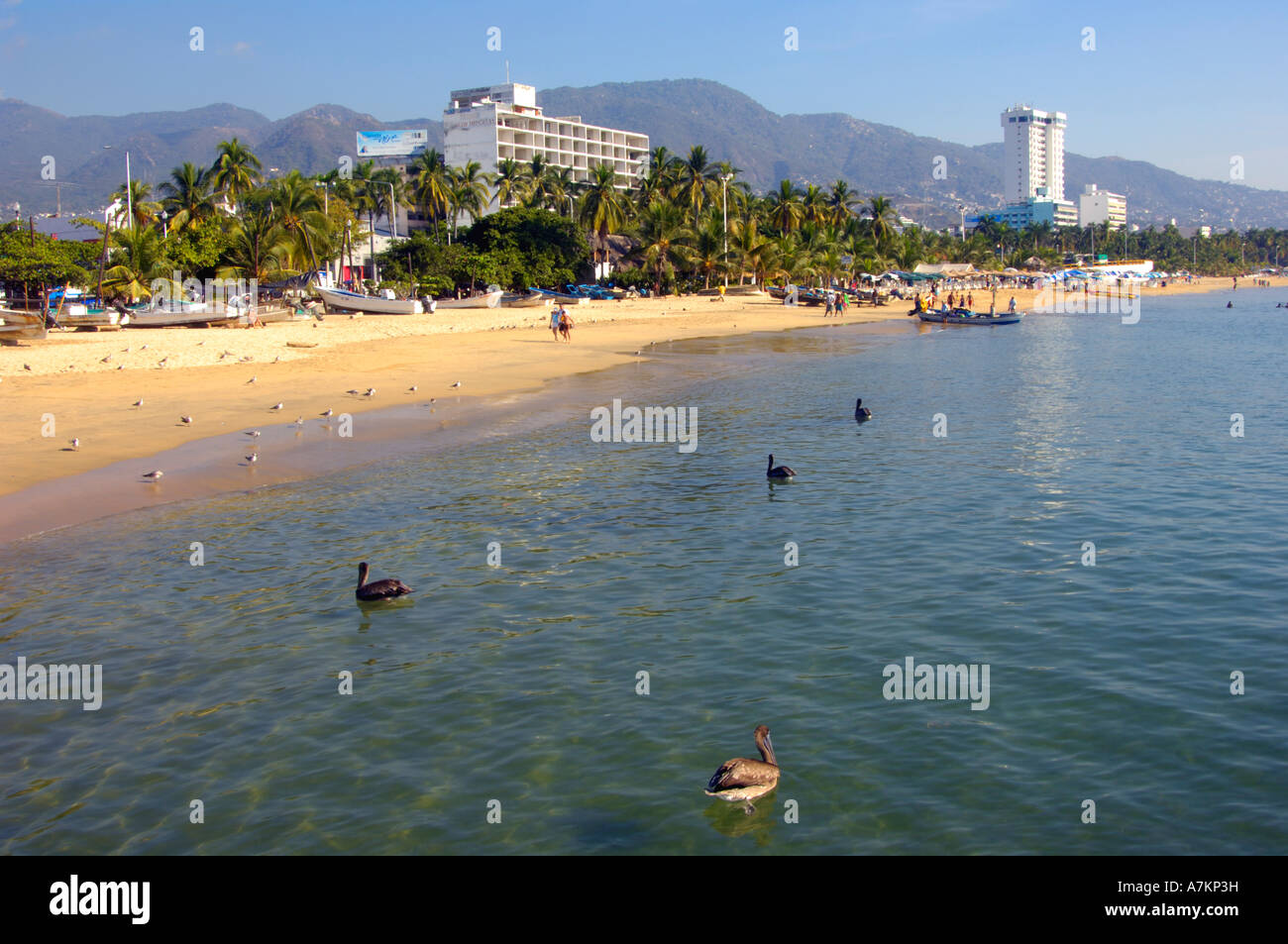 Acapulco Bay in Guerrero State Mexico Stock Photo - Alamy