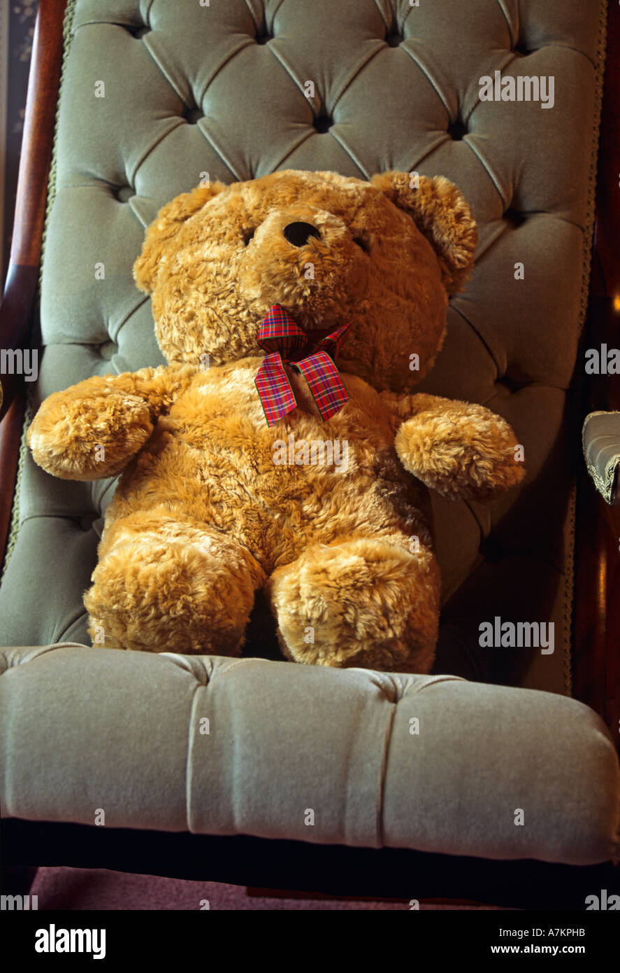 STUDIO December Teddy sitting in a green rocking chair Stock Photo - Alamy