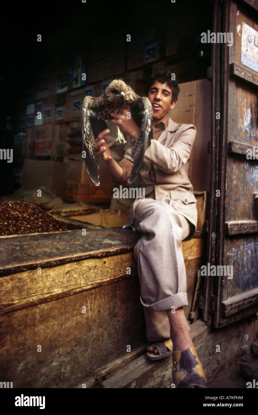 Sanaa Yemen Man holding Hawk In Market Stock Photo - Alamy
