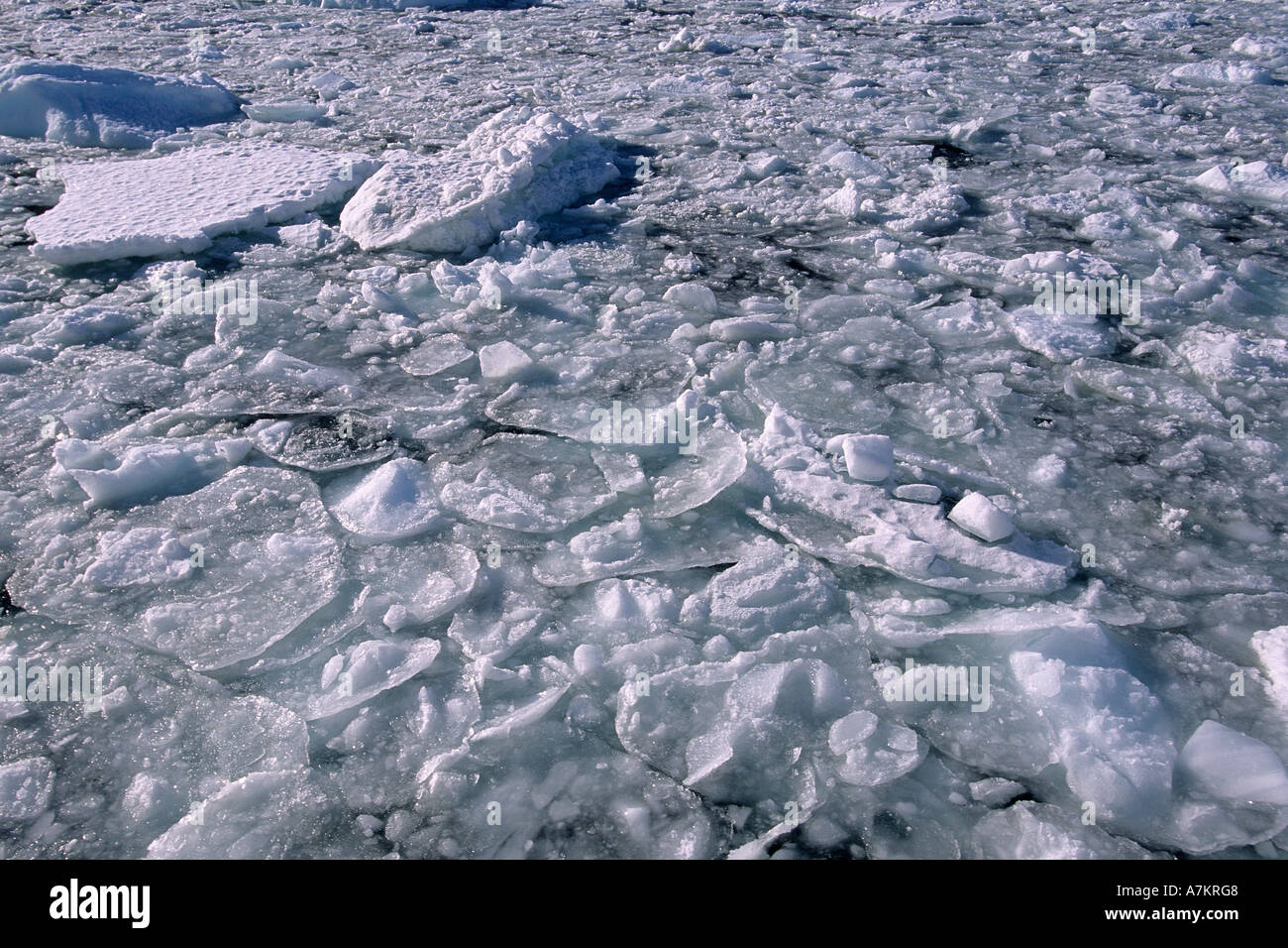 Pancake ice antarctica hi-res stock photography and images - Alamy