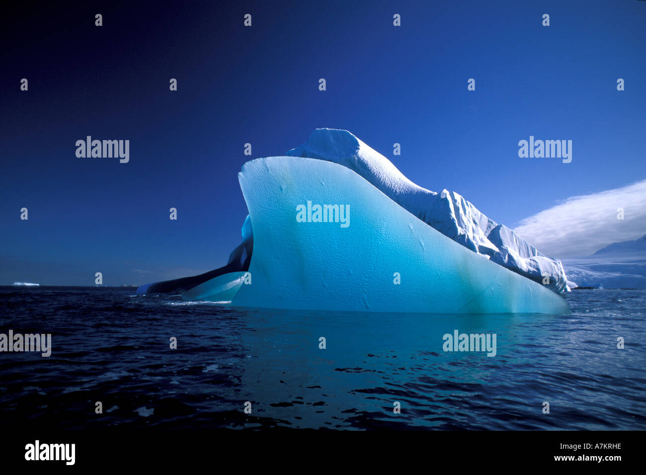 rare blue iceberg compressed ice Antarctica Antarctic Peninsula Stock Photo - Alamy