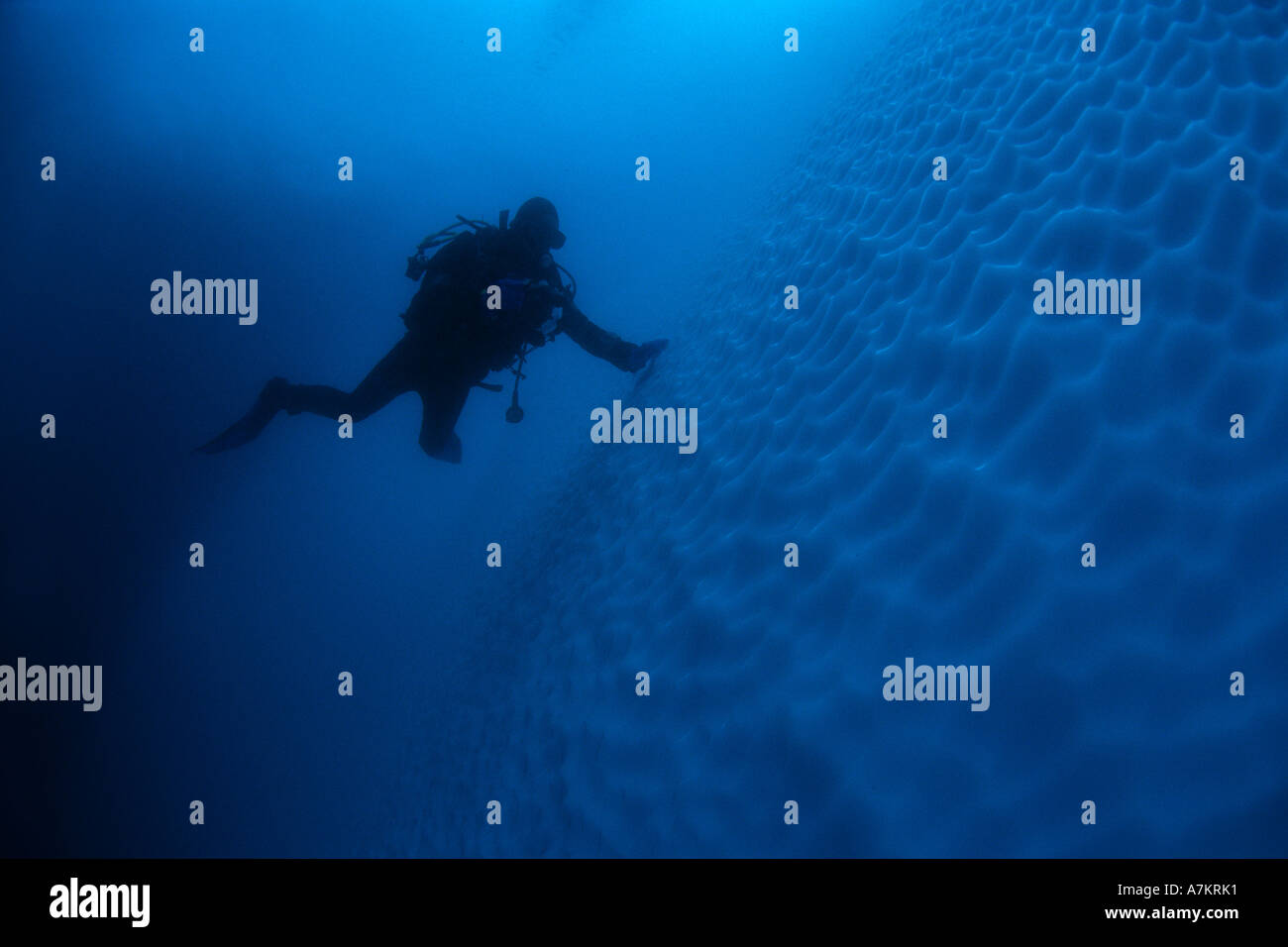 Scuba diver with iceberg Antarctica Antarctic Peninsula Stock Photo - Alamy