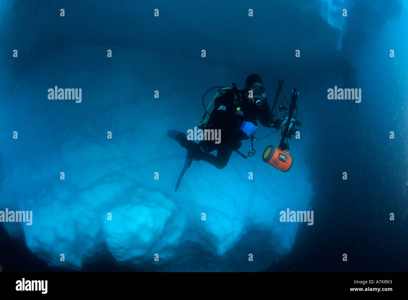 Scuba diver with iceberg Antarctica Antarctic Peninsula Stock Photo - Alamy